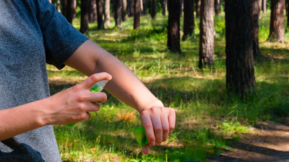 What is DEET? And is it safe? | Advnture