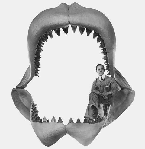 In Photos: How Ancient Sharks and 'Sea Monsters' Inspired Mayan Myths ...