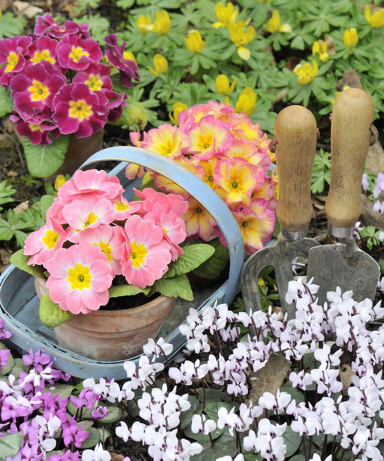 Preparing a garden for spring – 5 tasks for your to-do list | Homes and ...