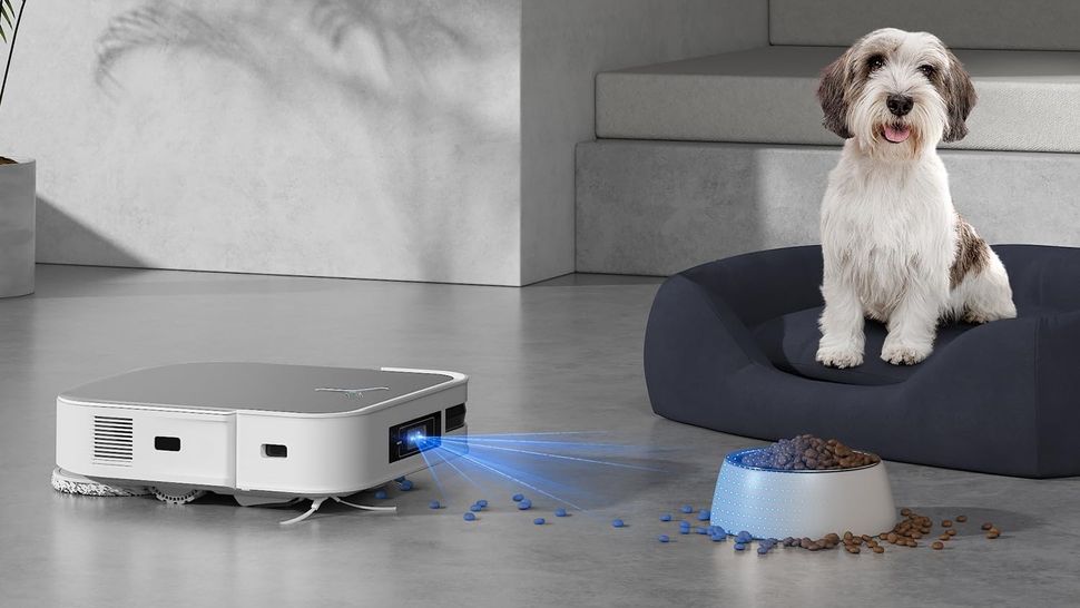 Hackers hijack Ecovacs robot vacuums to shout racial slurs and chase ...