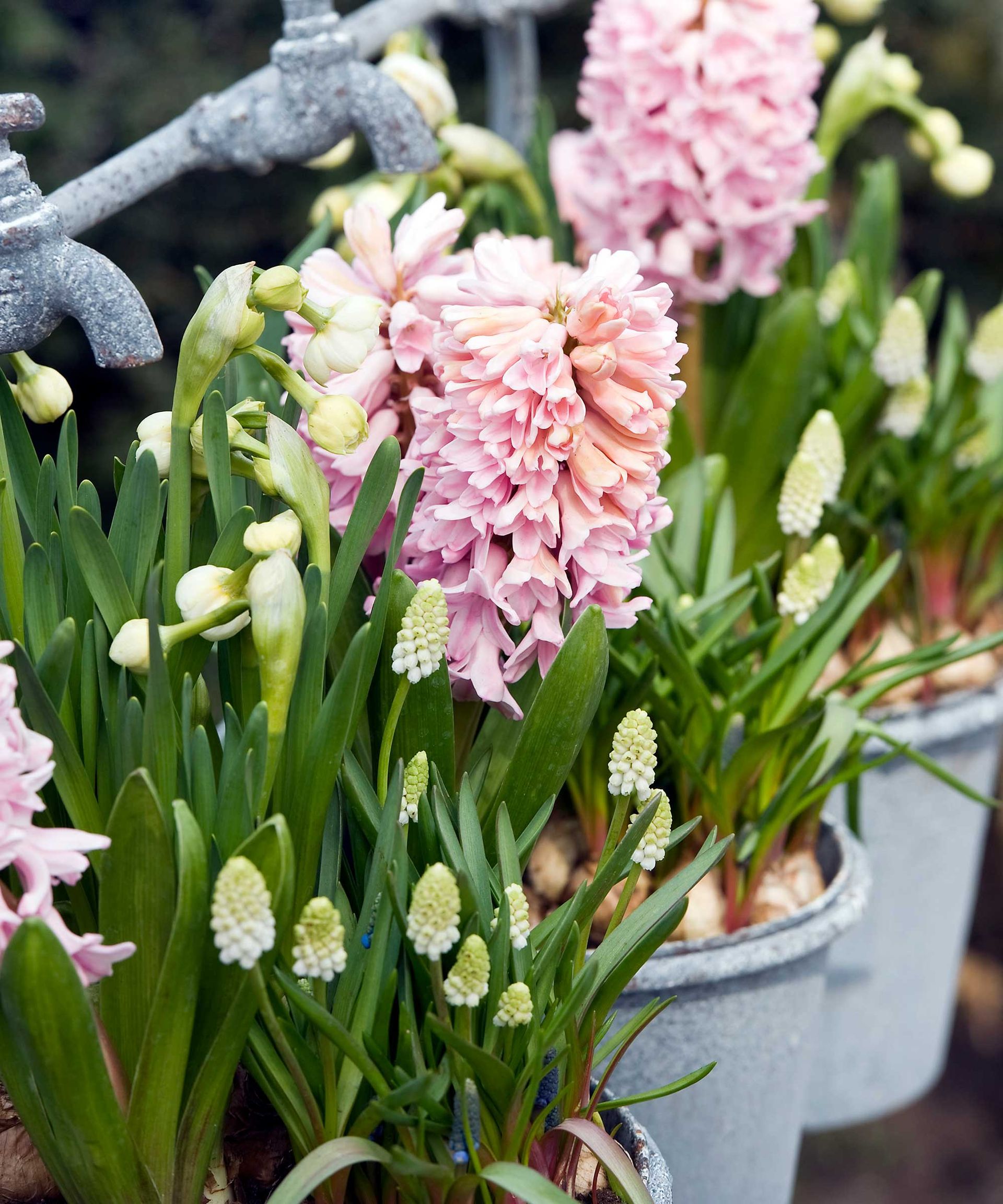 Bulb lasagne ideas and combinations to try: 10 looks for eye-catching ...