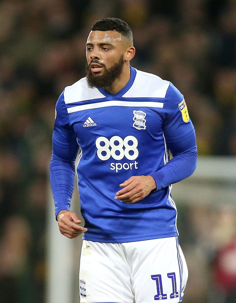 Vassell marks Cardiff debut with late winner against Luton | FourFourTwo