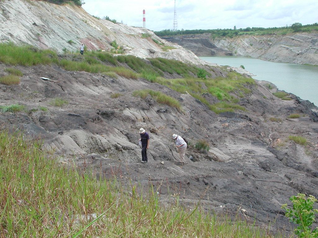 Photos: Fossils Reveal Pint-Sized Primate | Live Science