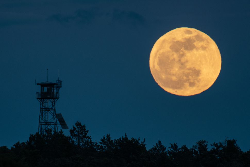 April full moon has us tickled pink in these gorgeous photos | Space