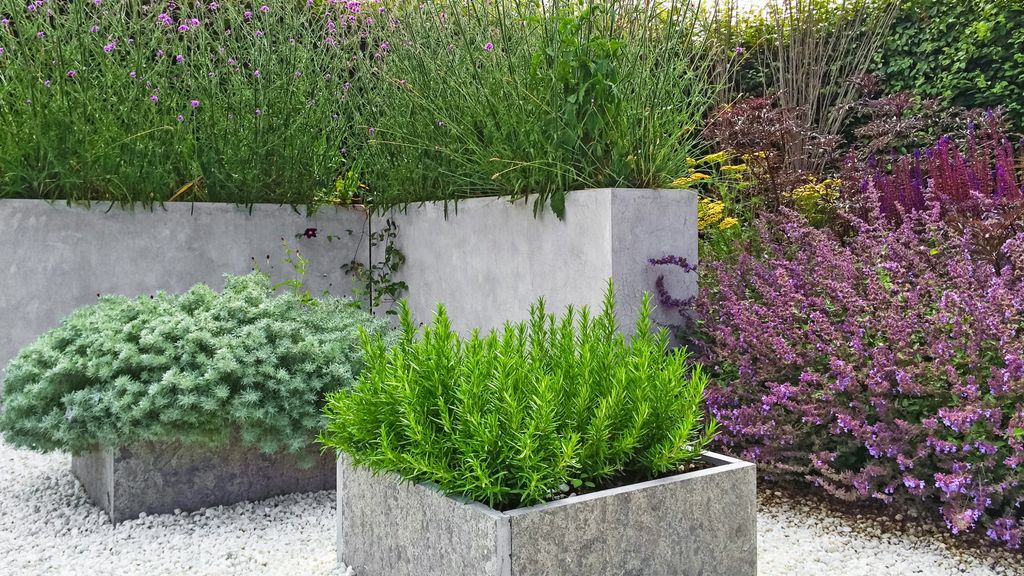 Low-maintenance shrubs: 11 easy-care options for every yard | Homes and Gardens