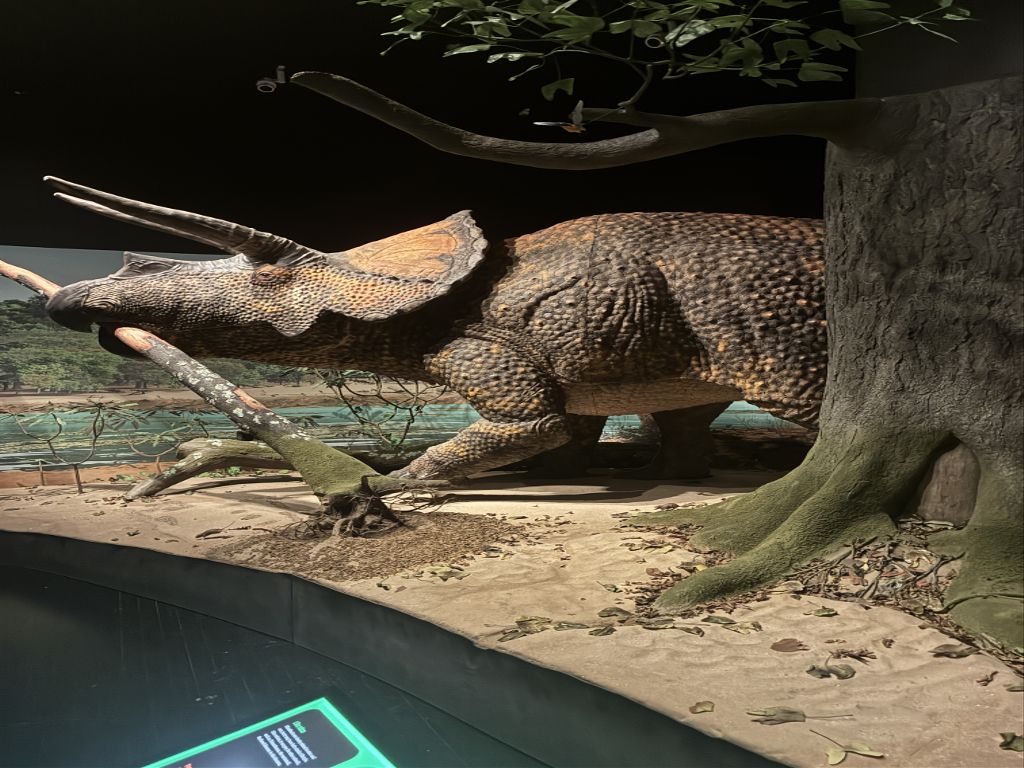 Walk through the asteroid strike that killed the dinosaurs with ...