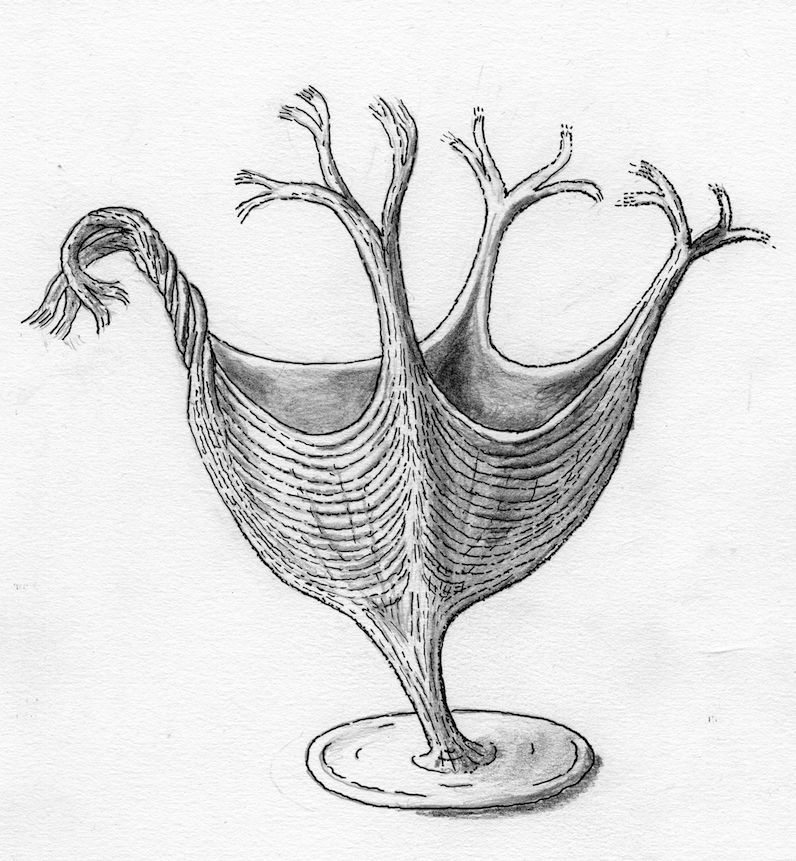 Images: Bizarre, Primordial Sea Creatures Dominated the Ediacaran Era ...