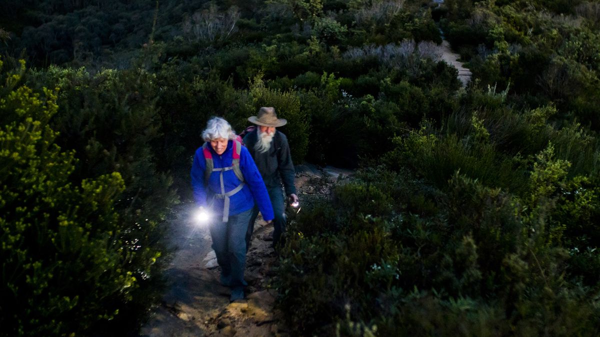 The best camping flashlights: we shed light on the options | Advnture