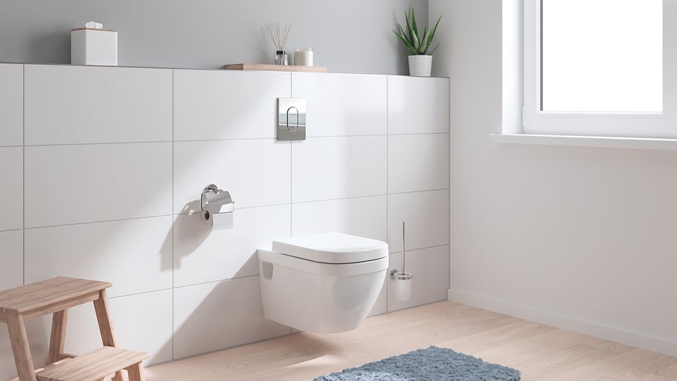 What is a rimless toilet? Why they can be more hygienic and quieter ...