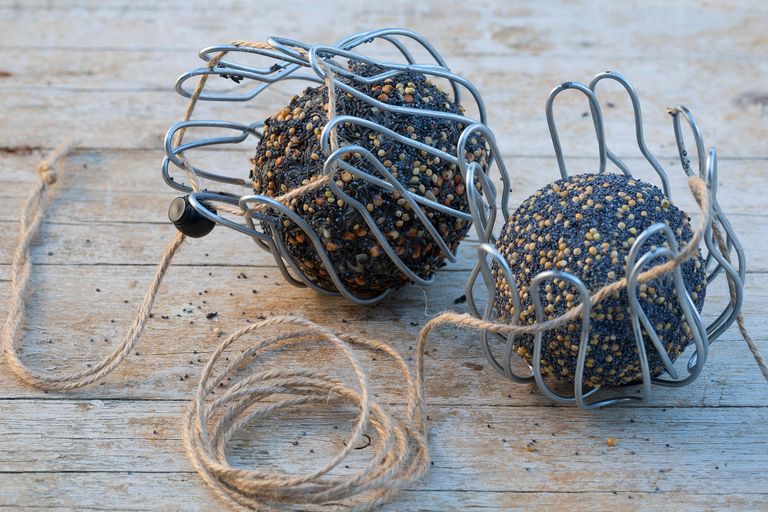 How to make fat balls for birds in 4 easy steps | Homes and Gardens