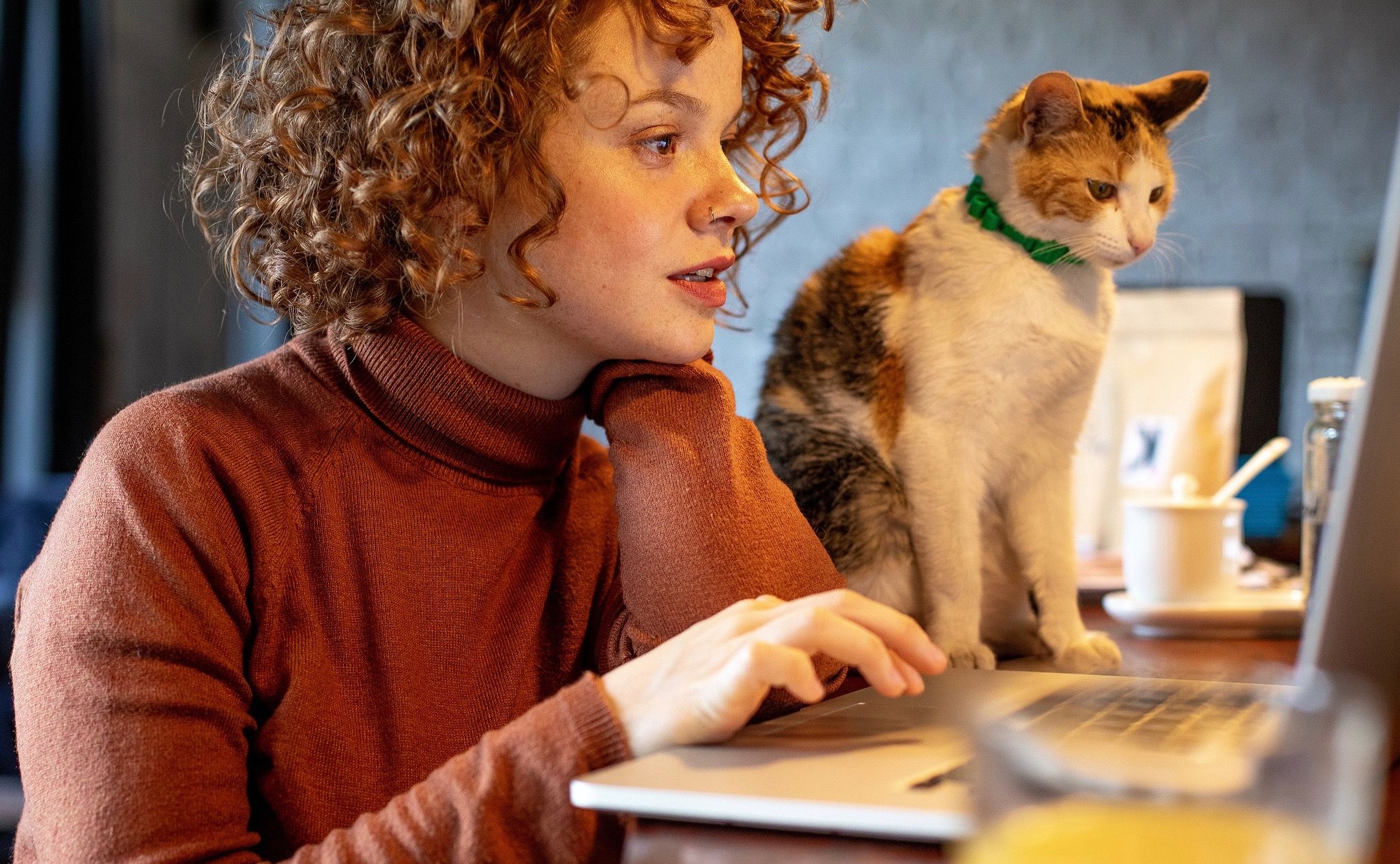 Best alternative operating systems of 2025 | TechRadar