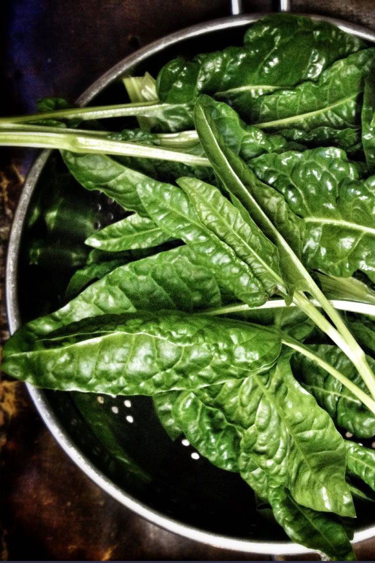 Modern vegetable garden ideas | Livingetc