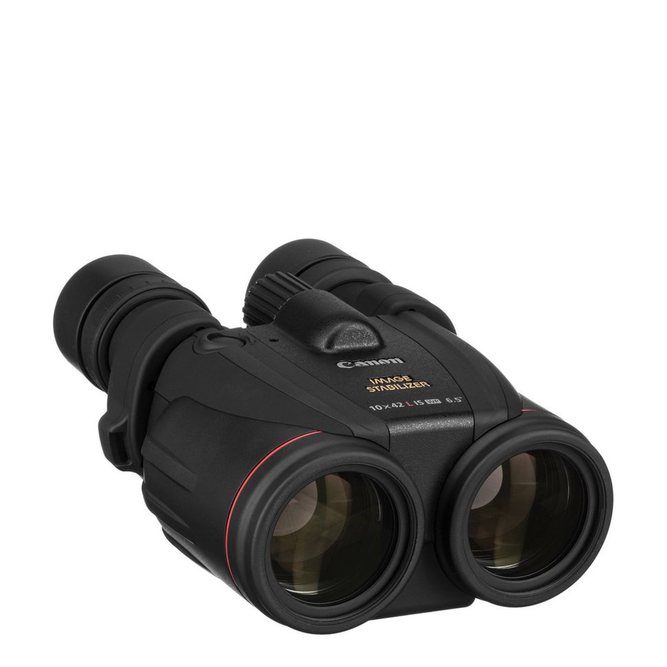 Best binoculars 2025: Our picks for stargazing, bird watching and ...
