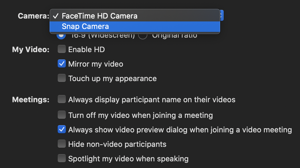 How to get Snapchat filters on Zoom | Tom's Guide