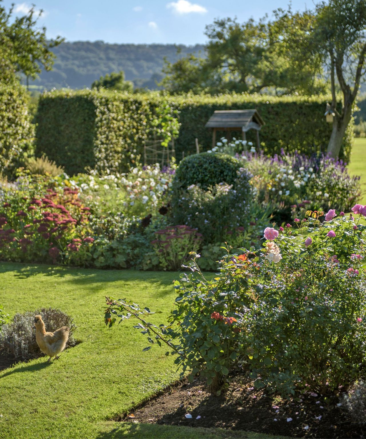 Is sugar water good for plants? Experts have their say on this hack ...
