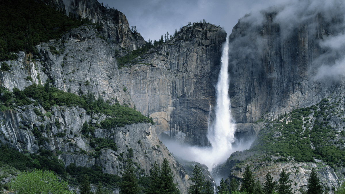 Netflix and thrill: Watch the new trailer for Untamed, the murder ...