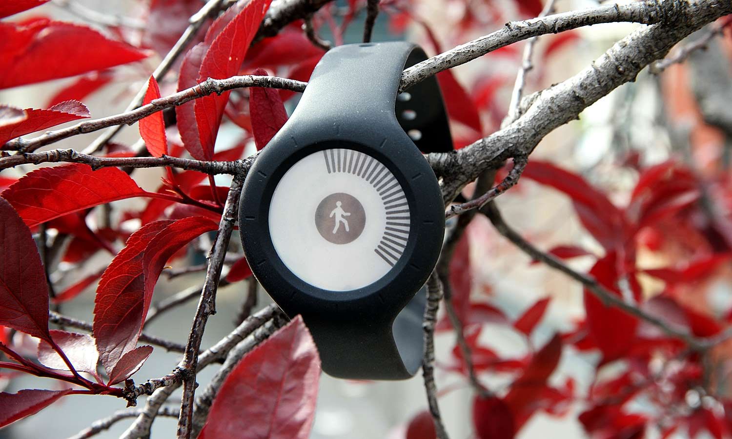 Withings Go: Cheap and Simple Fitness Tracking | Tom's Guide