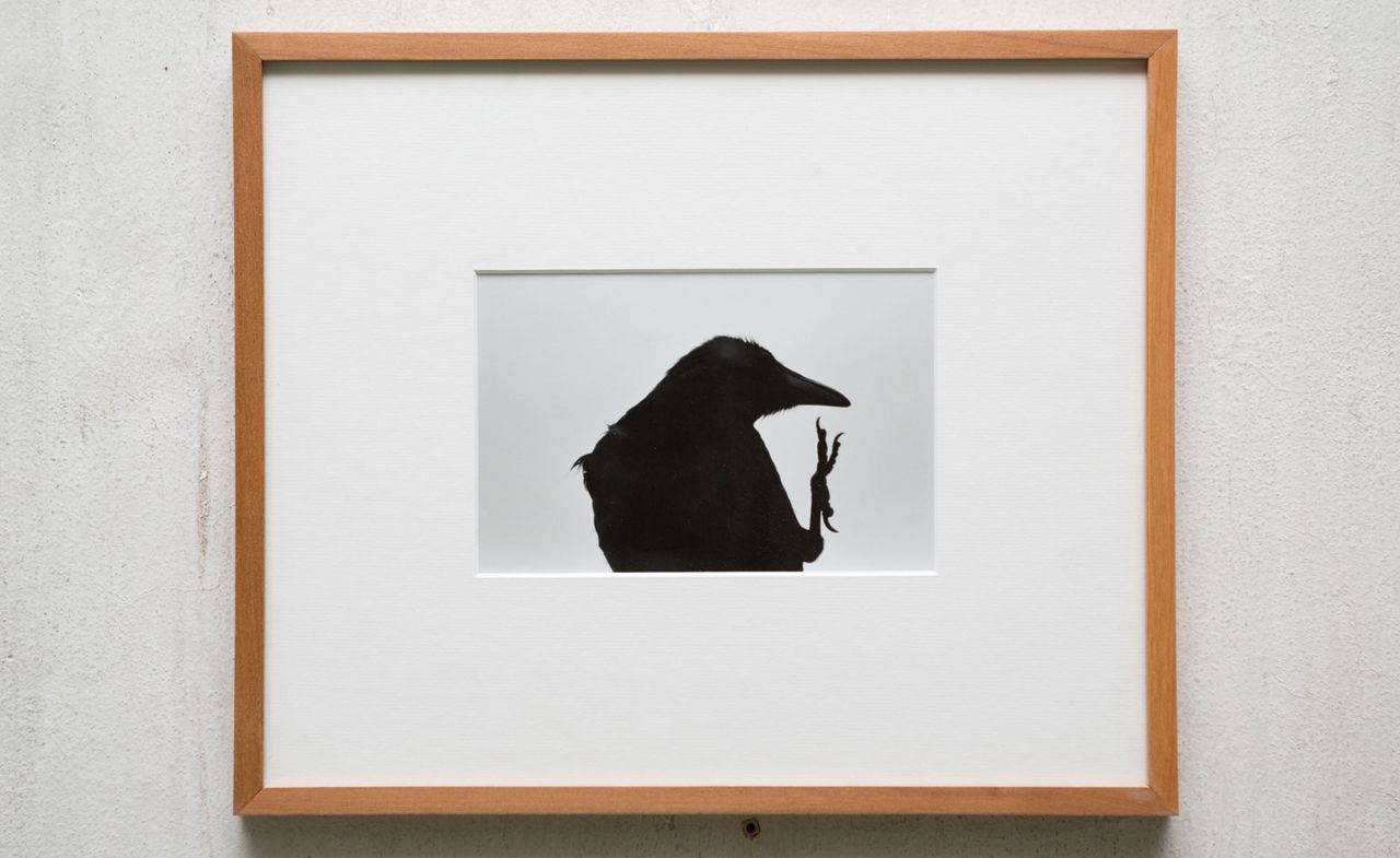 Anastasios Gkekas brings 'Investment Opportunities' to VOLKS gallery ...