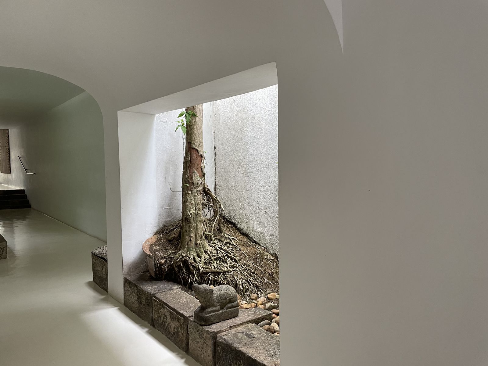 Sumayya Vally interview: the architect behind Counterspace | Wallpaper*