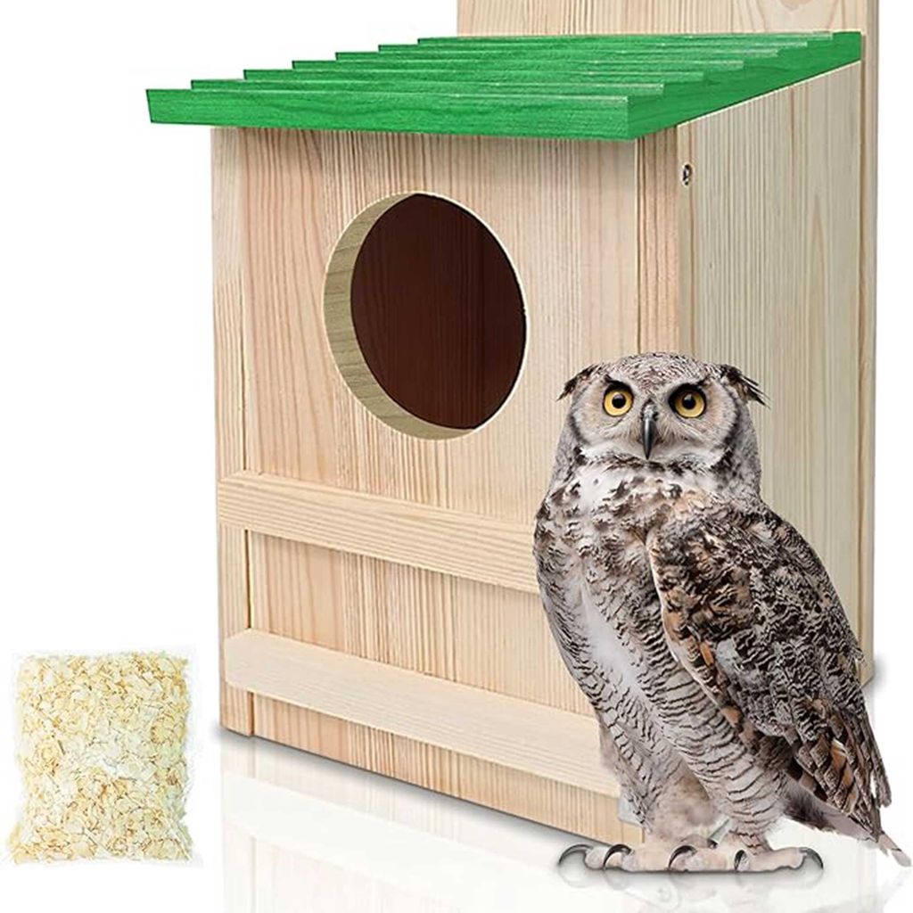 Owl nest boxes: an expert guide | Homes and Gardens