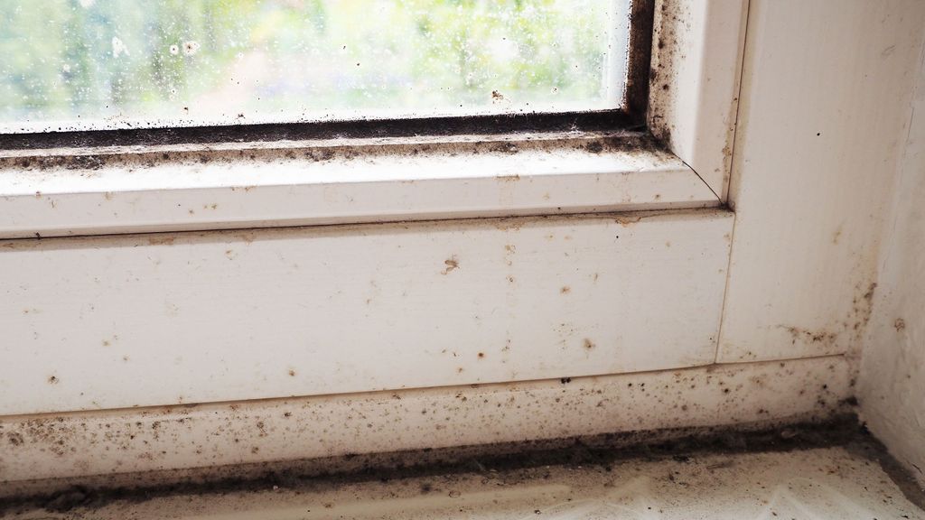 How to prevent and remove mould on windows | Homebuilding