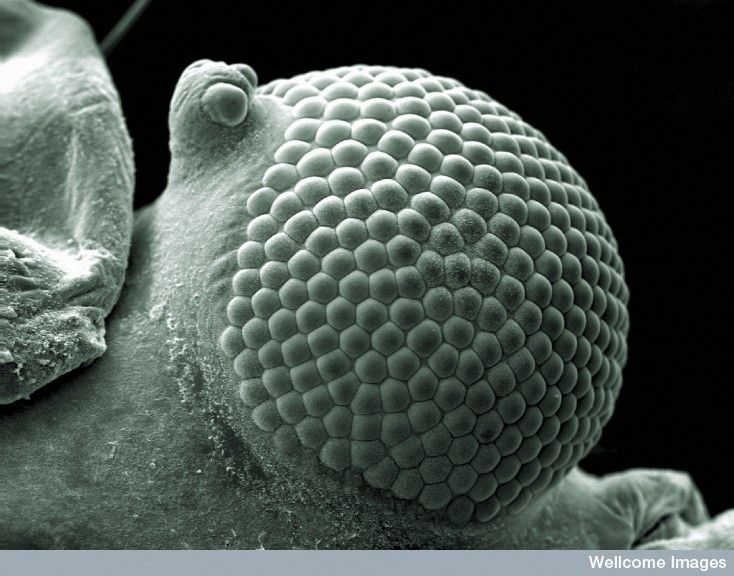 Stunning Photos Reveal Beauty in Medicine | Live Science