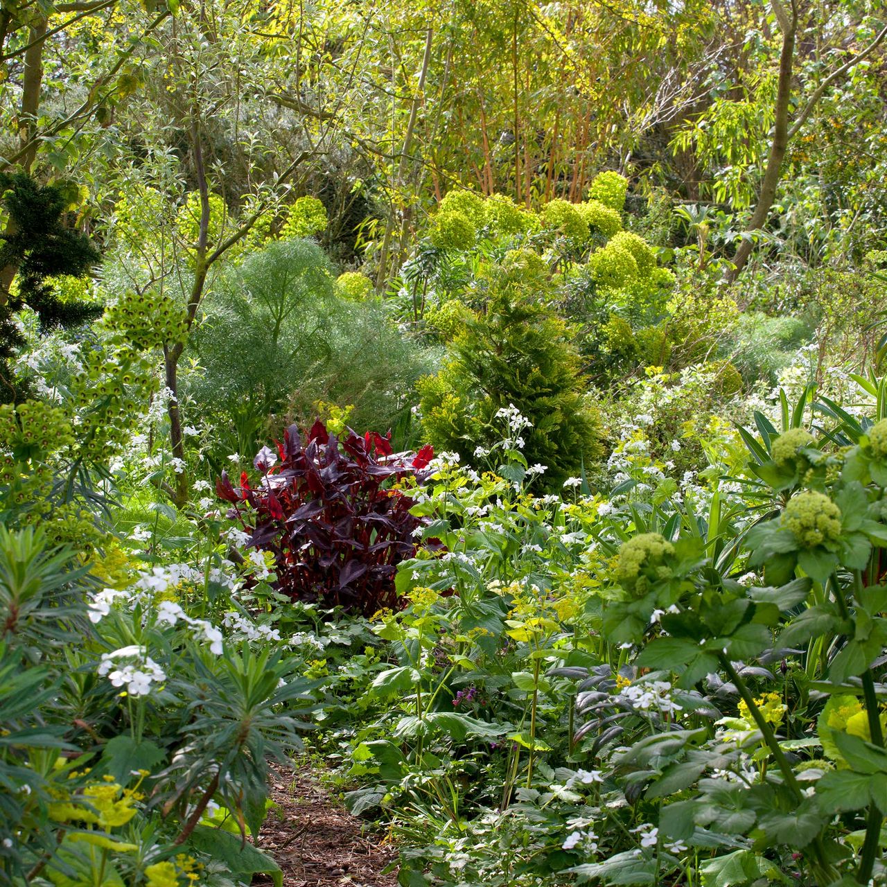Woodland garden ideas: simple ways to create a serene spot | Ideal Home