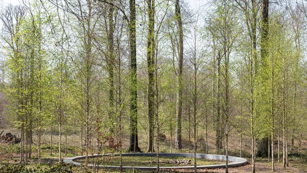 Meet Studio Zewde, the Harlem-based landscape architects redefining the ...