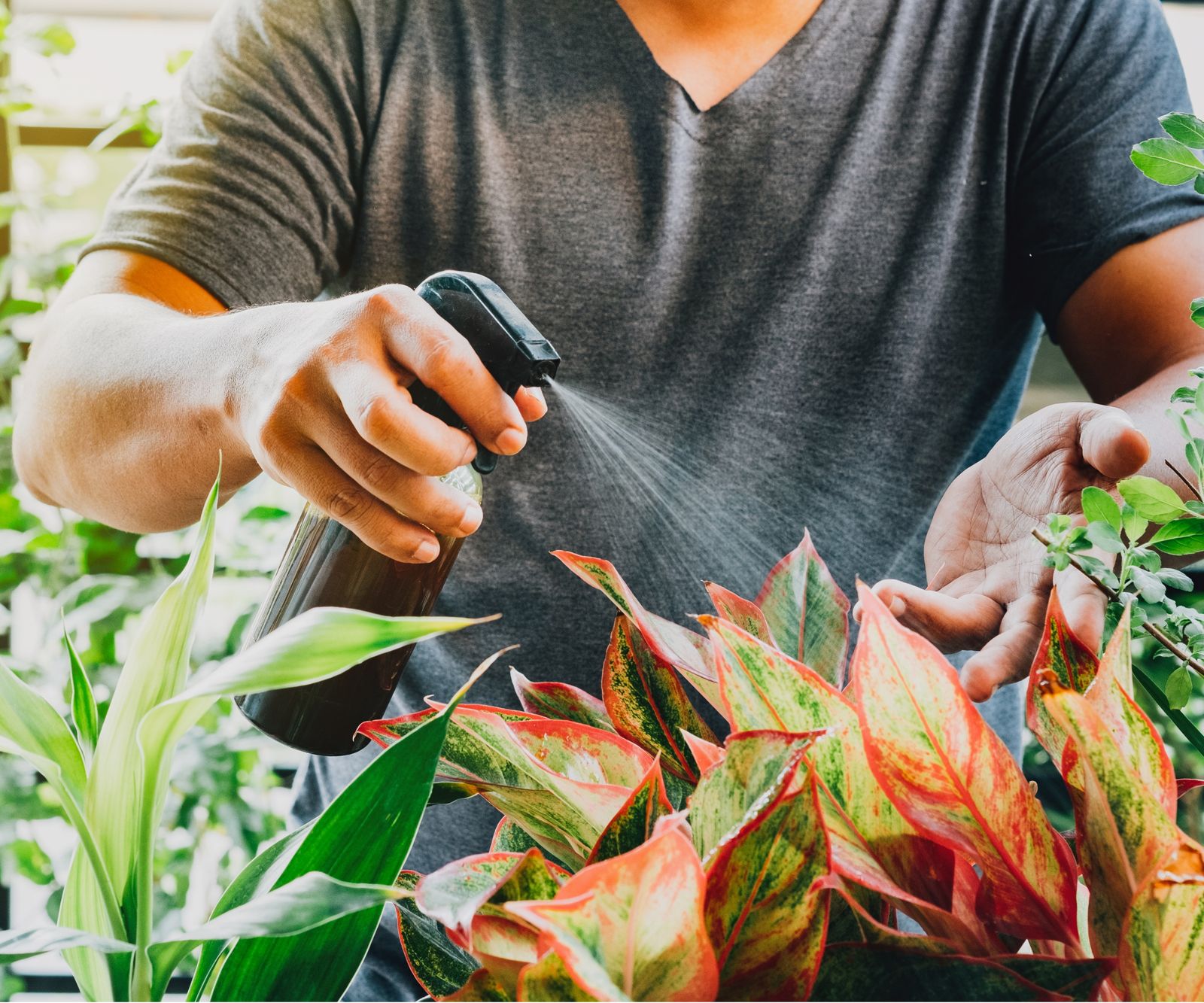 What does fertilizer do for plants? We reveal all | Homes and Gardens