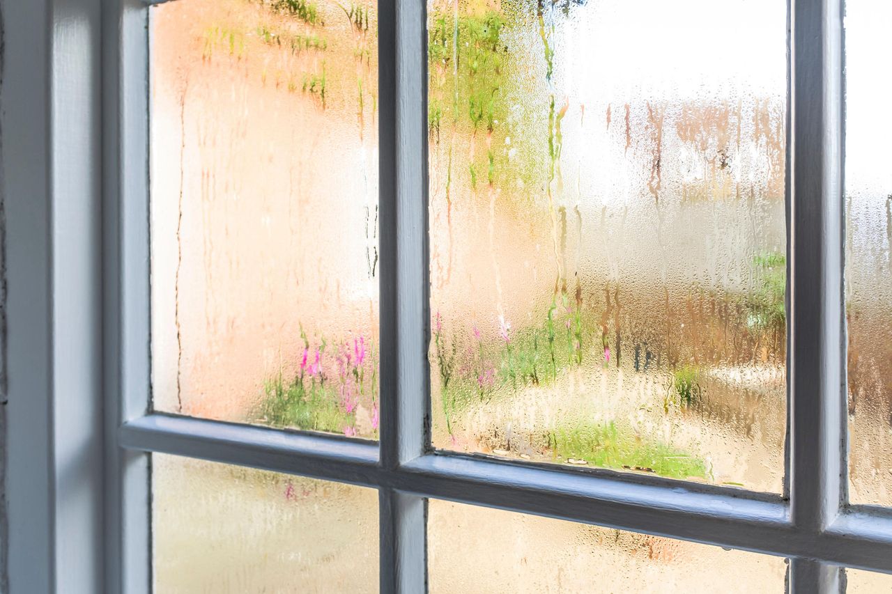 How I use a window vac to beat condensation, and my Black Friday deal ...