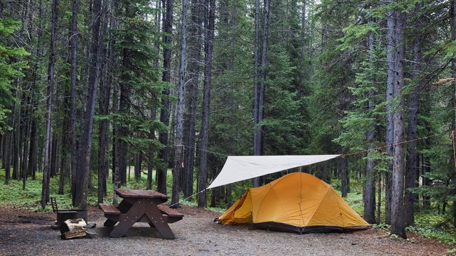 Our 8 spring camping tips for camping trips | Advnture