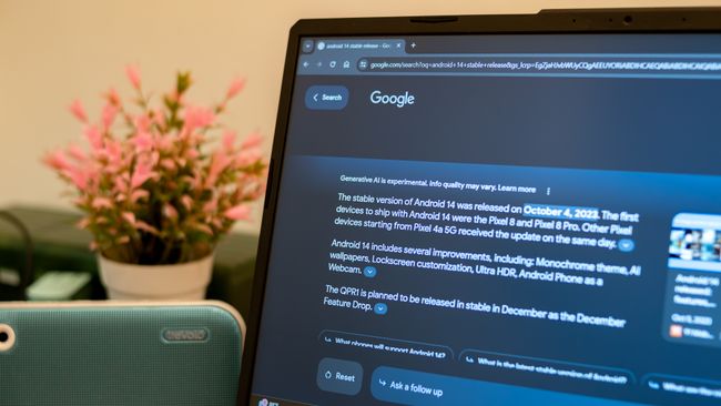 Google's Liz Reid wants more AI and 'SGE' as she becomes head of Search ...