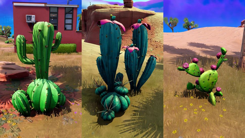 Where to find Fortnite Cactus plants and destroy different types ...