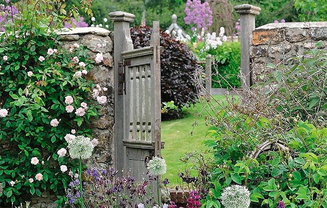 Six common garden problems, solved by our experts – Country Life ...