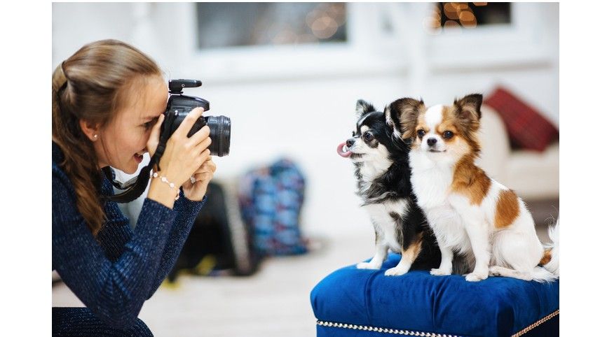 How to buy the best camera for pet photography | PetsRadar