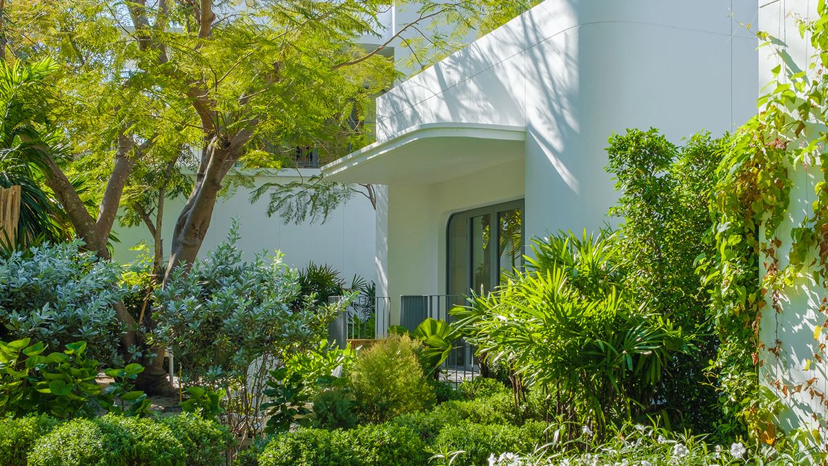 8 Shade Trees To Cool Your Home Naturally and Save Money | Gardening ...