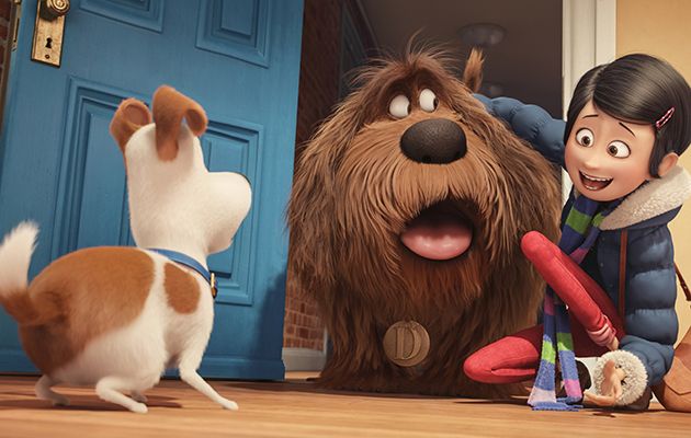 The Secret Life of Pets - Netflix | What to Watch