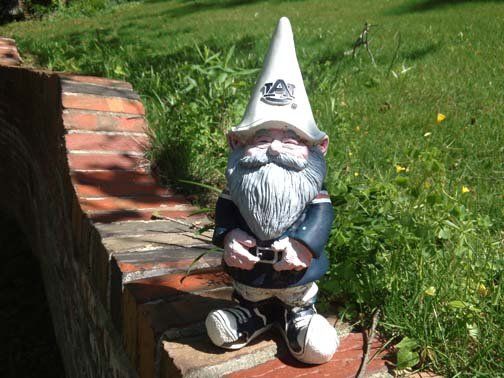 Understanding your Windows Phone Camera | Windows Central