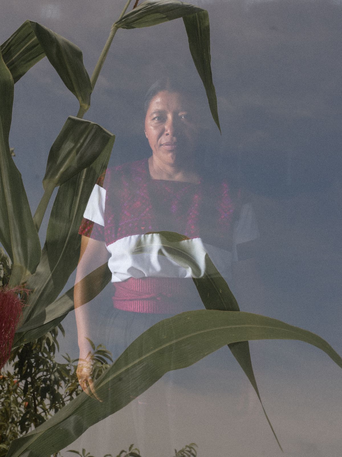 Colville partners with Mexico’s ‘telar de cintura’ weavers | Wallpaper