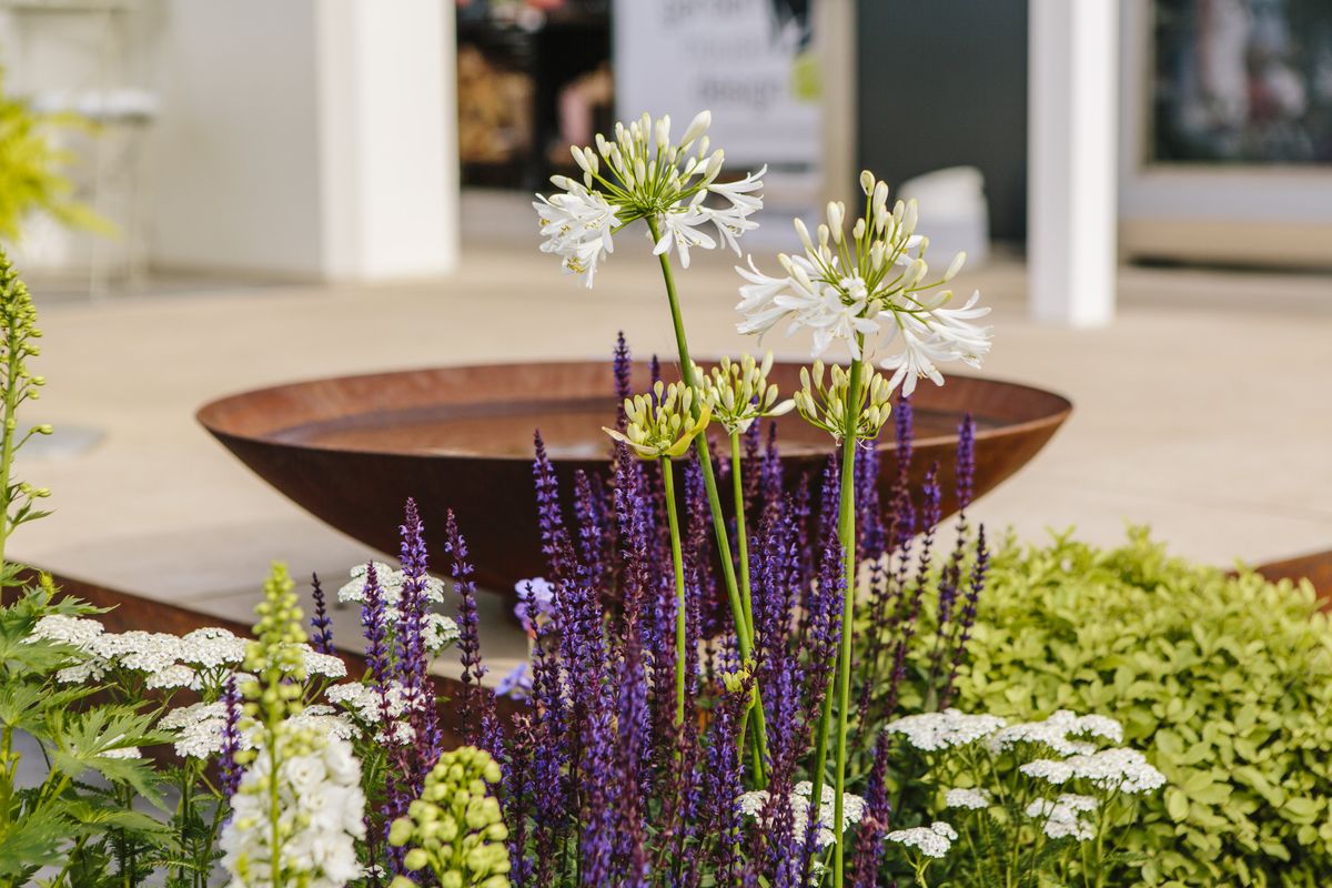 Biophilic Design: 11 Ideas to Connect Your Home with Nature | Homebuilding