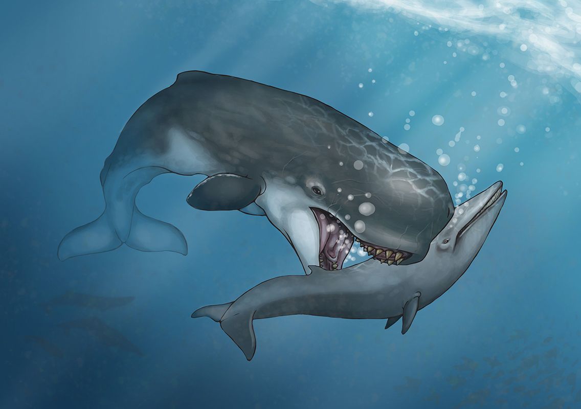 In Images: 'Field Guide' Showcases Bizarre and Magnificent Prehistoric ...