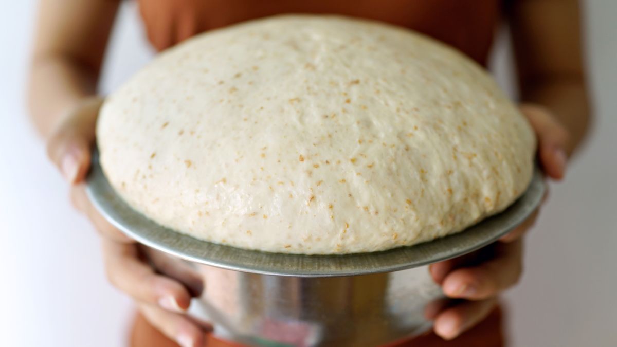 The science behind yeast and how to make your own | Live Science