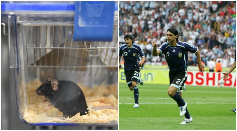 Revealed! The stories behind 20 of the strangest player nicknames in ...