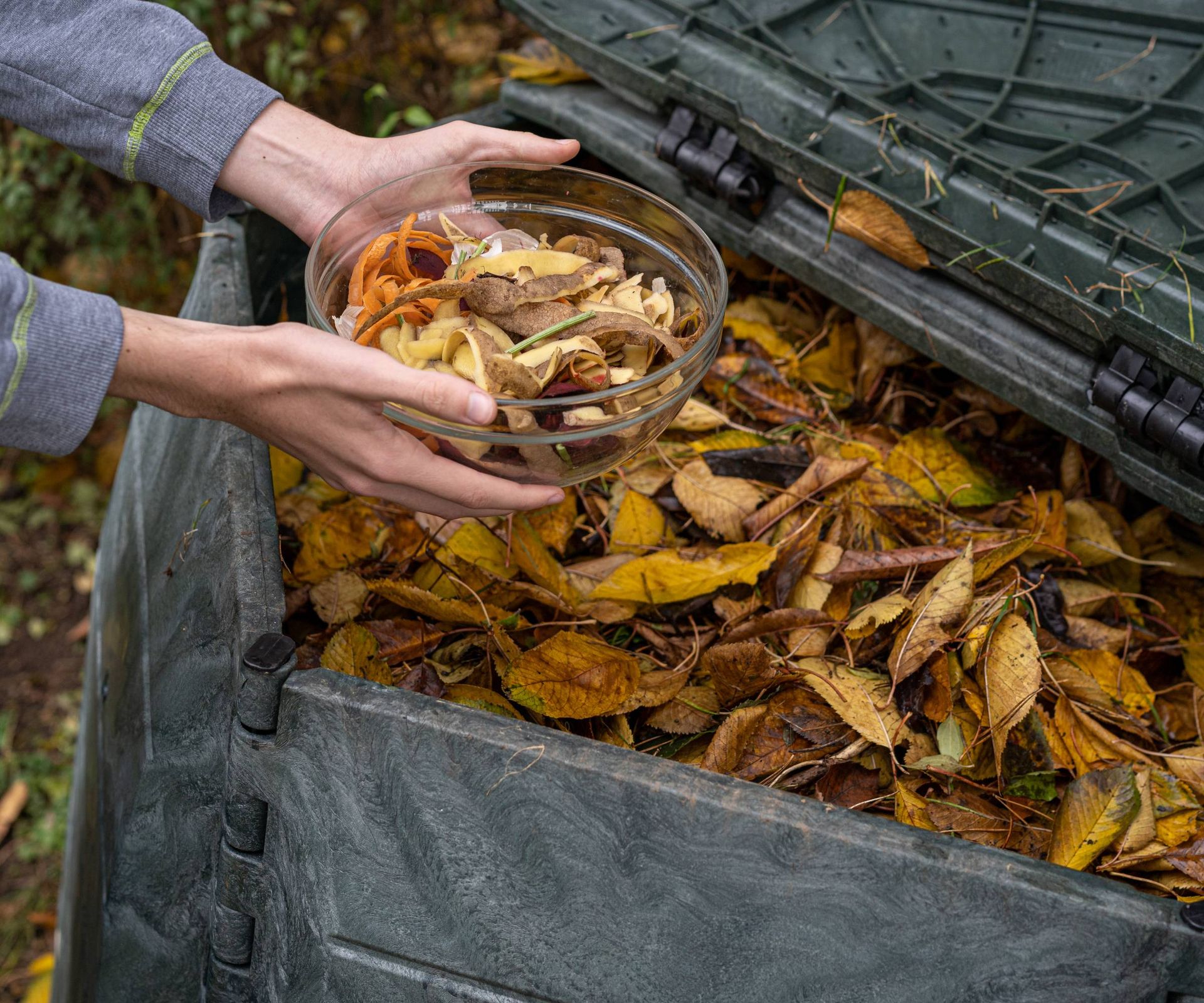 Leaf Mold vs. Compost: Which Is Best for Your Garden? | Gardening Know How