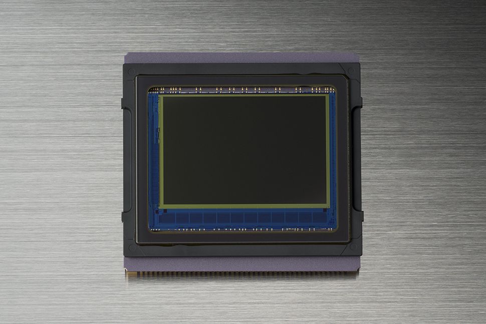 What's the difference between the Nikon D3300 and D5300? | Digital ...