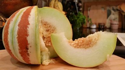 Information About Kajari Melons | Gardening Know How