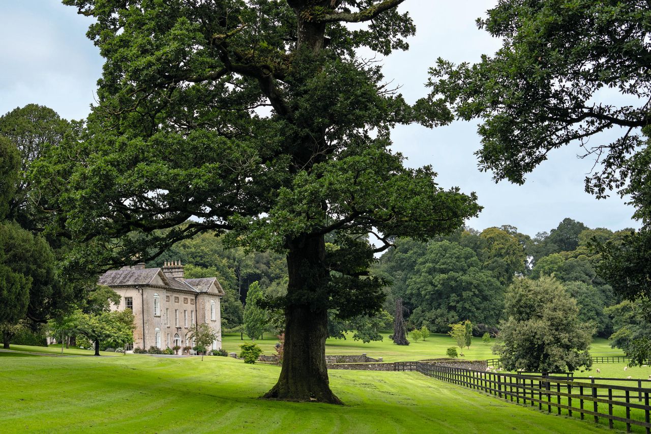 Ballynure House: The magical estate that transformed its bramble ...