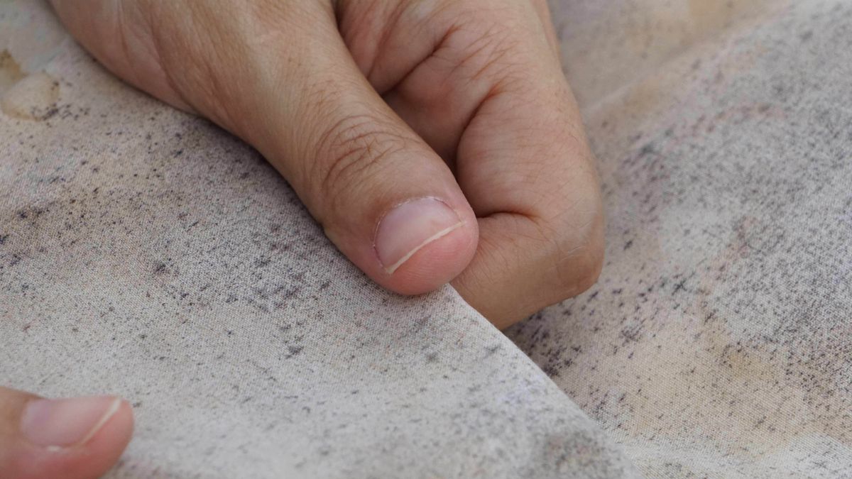 How to get rid of mold and stop it from coming back | Tom's Guide