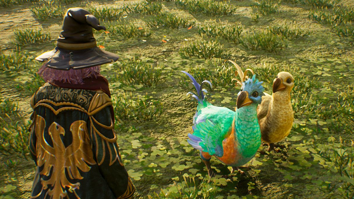 Where to find Diricawl in Hogwarts Legacy | Windows Central