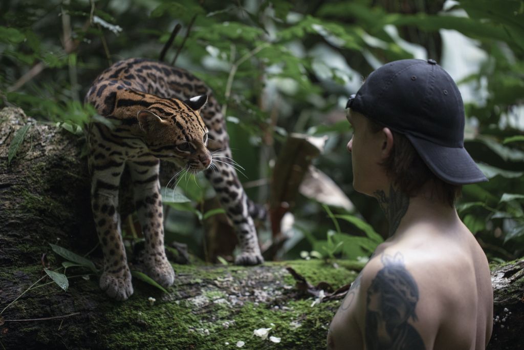 Wildcat: release date, first look, what happens, more | What to Watch